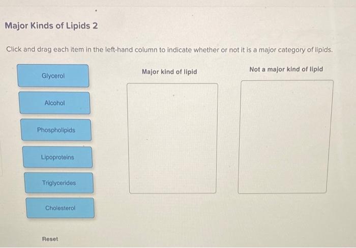 Solved Major kinds of Lipids 2 Click and drag each item in | Chegg.com