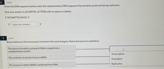 Solved 1 1 point Given the DNA sequence below, enter the | Chegg.com