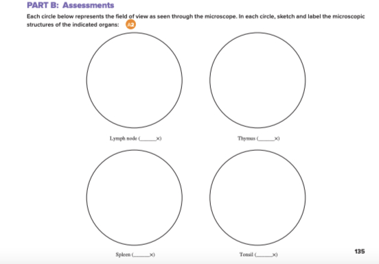 Solved PART B: Assessments Each circle below represents the | Chegg.com