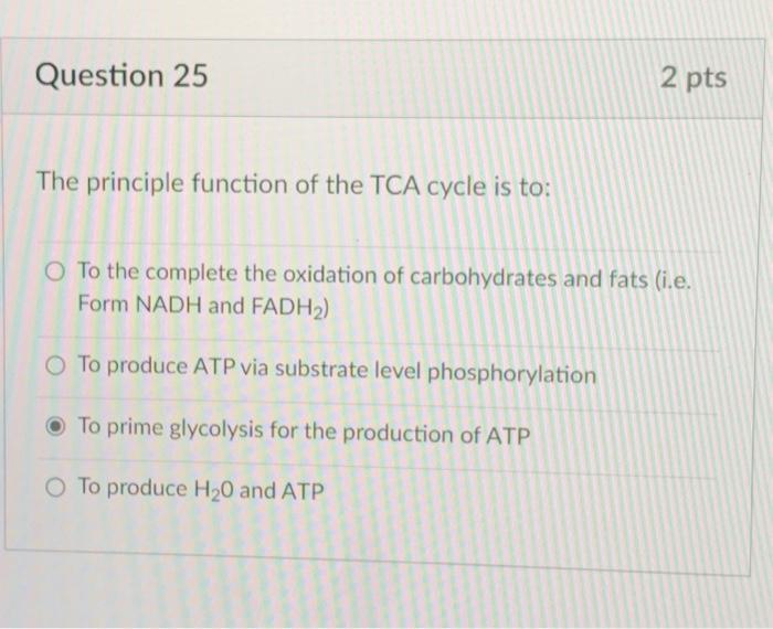 Solved Question 25 The principle function of the TCA cycle | Chegg.com