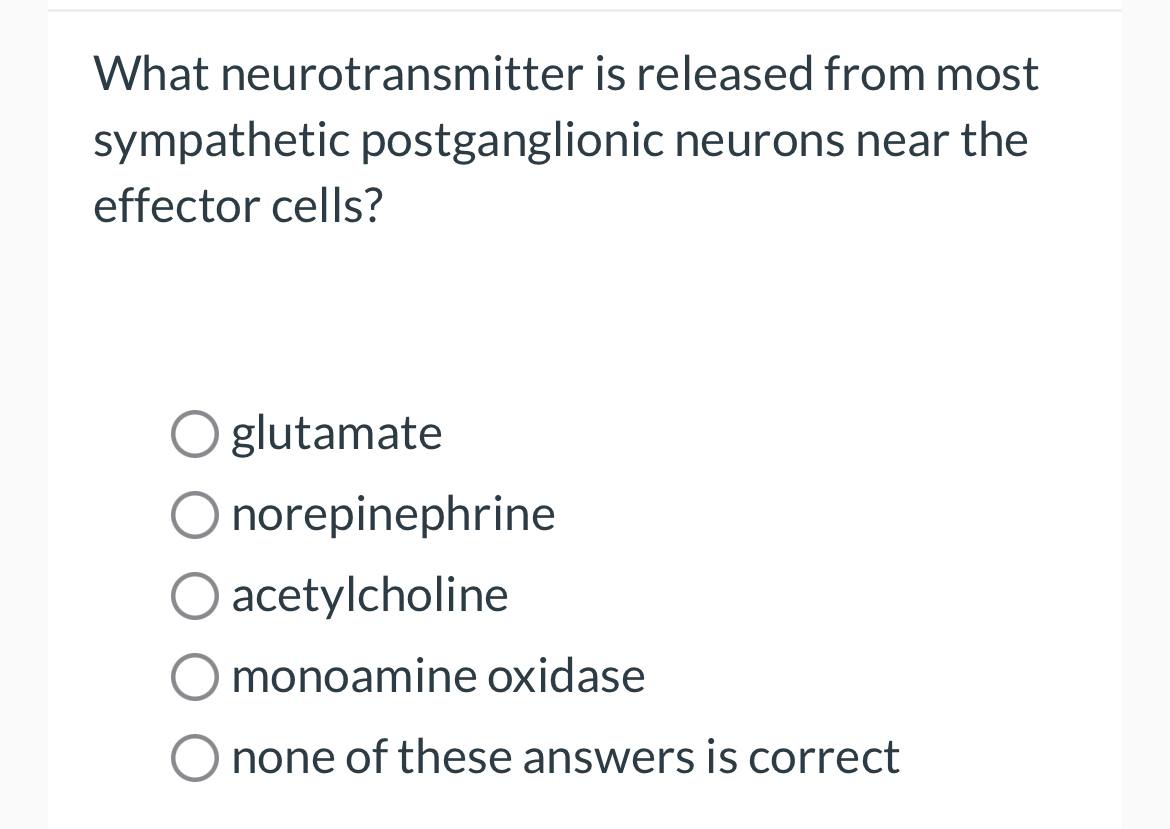 Solved What neurotransmitter is released from most | Chegg.com
