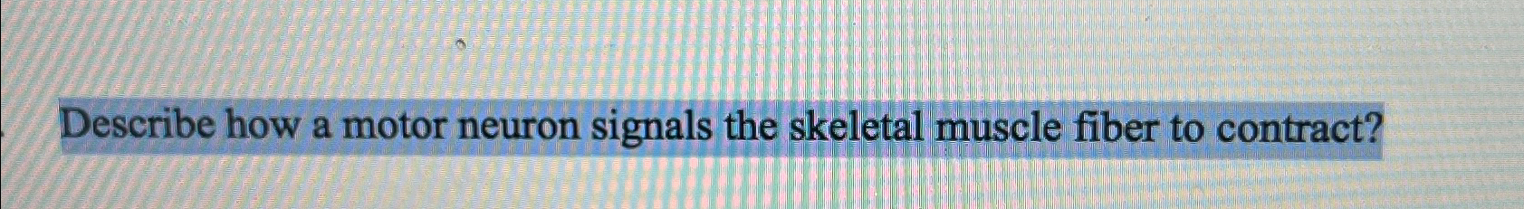 Solved Describe how a motor neuron signals the skeletal | Chegg.com