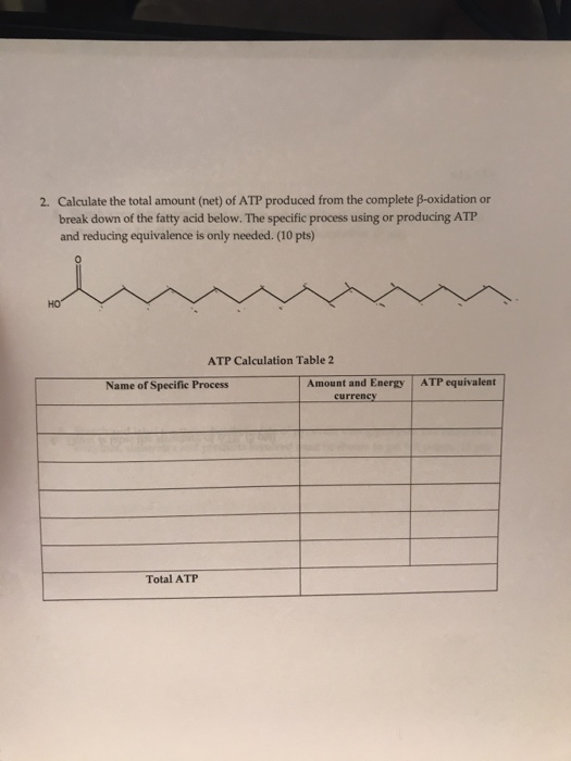 Solved 2. Calculate the total amount (net) of ATP produced | Chegg.com