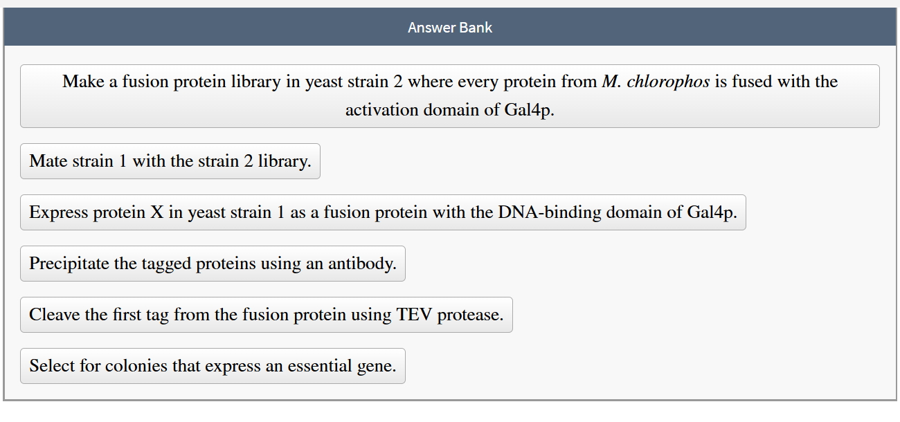 Solved Make a fusion protein library in yeast strain 2 | Chegg.com