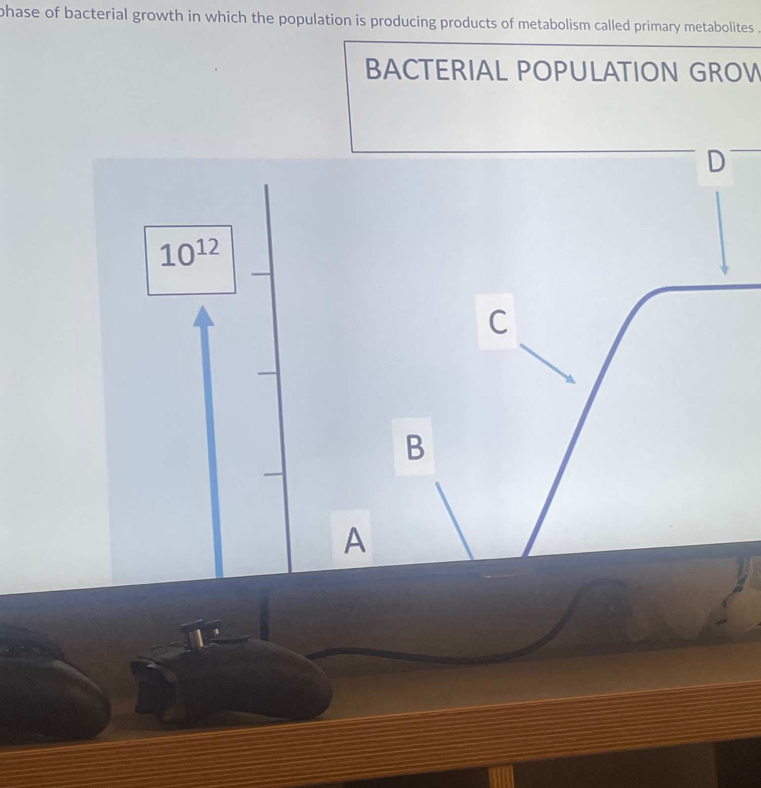 Solved shase of bacterial growth in which the population is | Chegg.com