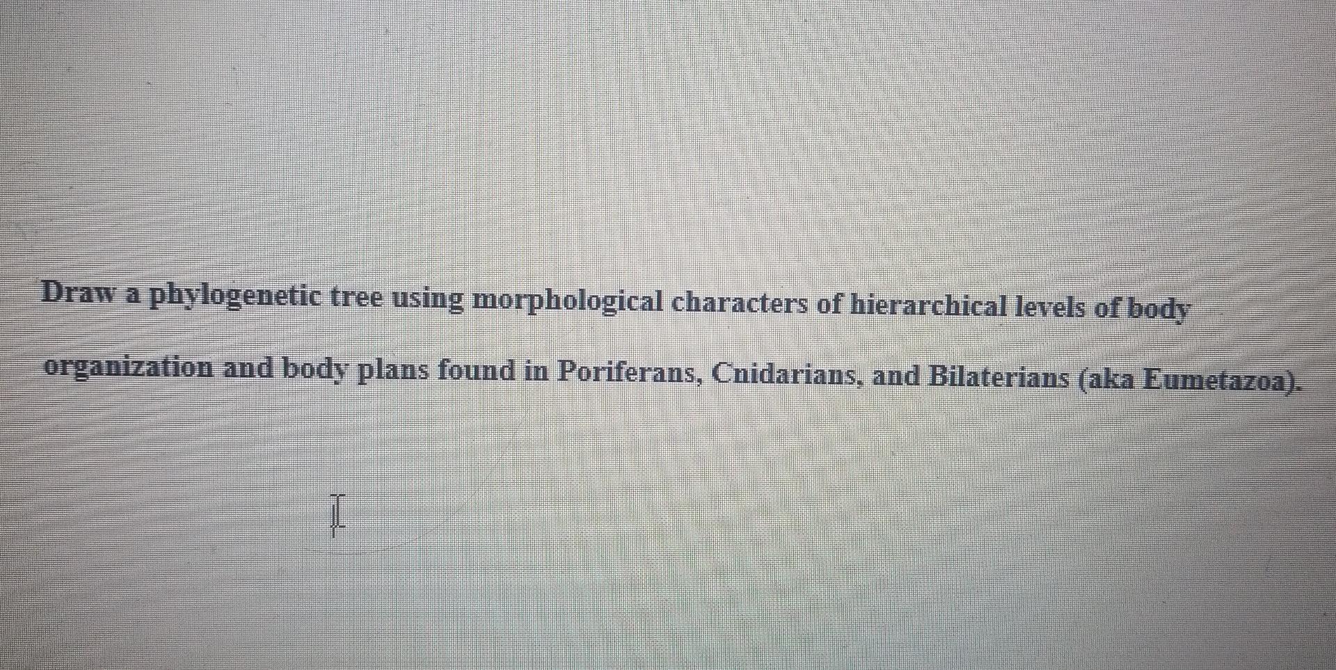 Solved Draw a phylogenetic tree using morphological | Chegg.com