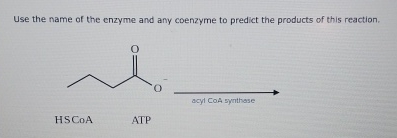 Solved Use the name of the enzyme and any coenzyme to | Chegg.com
