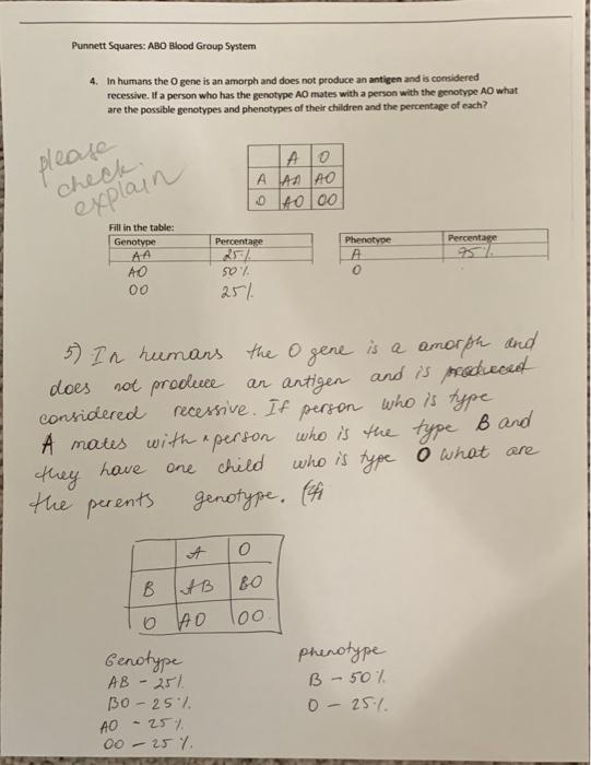 Solved Punnett Squares: ABO Blood Group System please check | Chegg.com