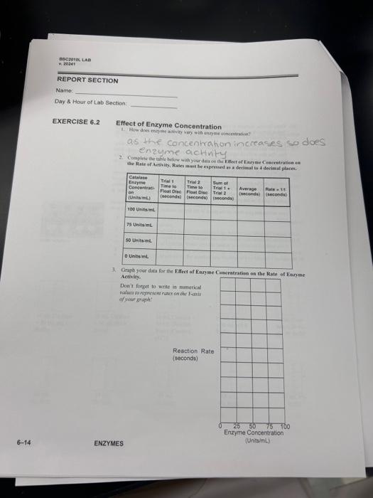 Solved 6-14 BSC2010L LAB v. 20241 REPORT SECTION Name: Day & | Chegg.com