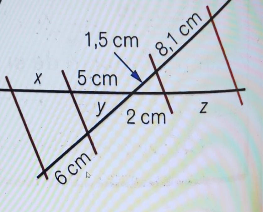 Solved find value if X y and z by using thales theorem | Chegg.com