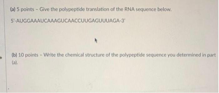 Solved (a) 5 points - Give the polypeptide translation of | Chegg.com