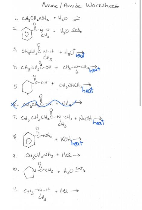 Solved Amine / Amide Worksheet 1. CH₂ CH₃NH₂ + H₂O ² 2. 11 | Chegg.com