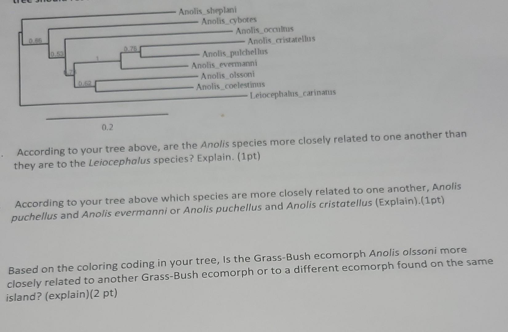 Solved According to your tree above which species are more | Chegg.com