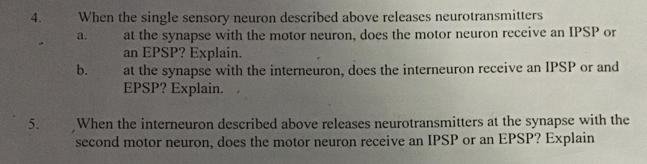 Solved When the single sensory neuron described above | Chegg.com