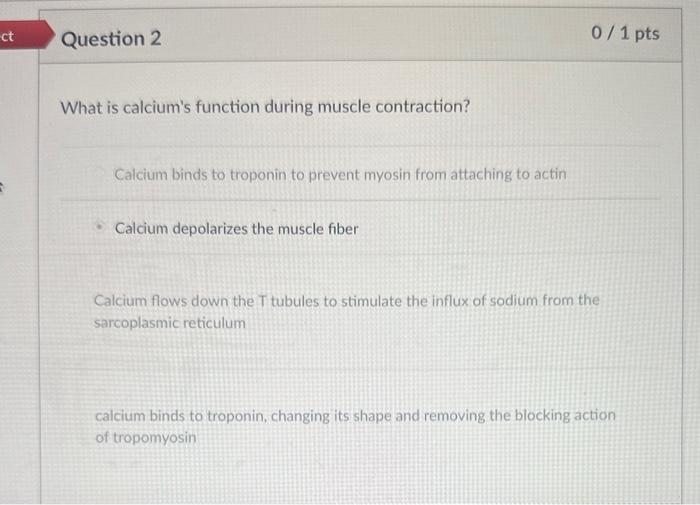 Solved What is calcium's function during muscle contraction? | Chegg.com