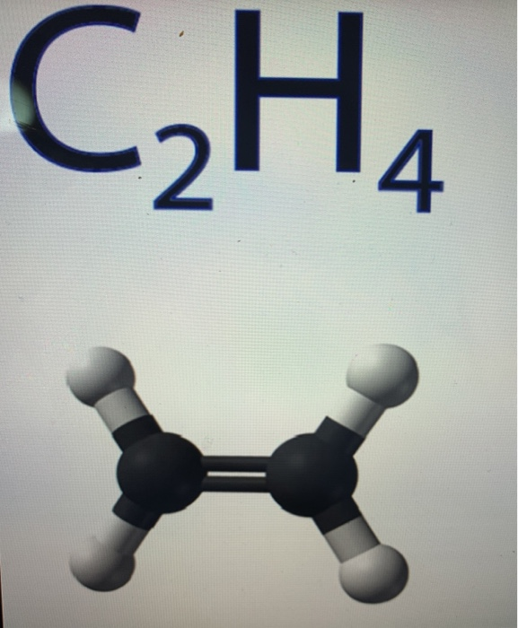 Solved C2H4 | Chegg.com