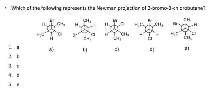 Solved Which of the following represents the Newman | Chegg.com