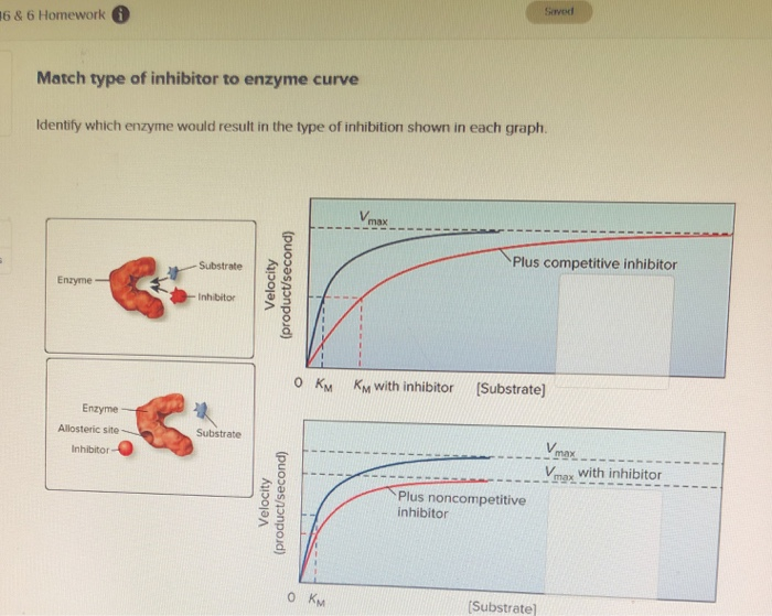 Solved 16 & 6 Homework Saved Match type of inhibitor to | Chegg.com