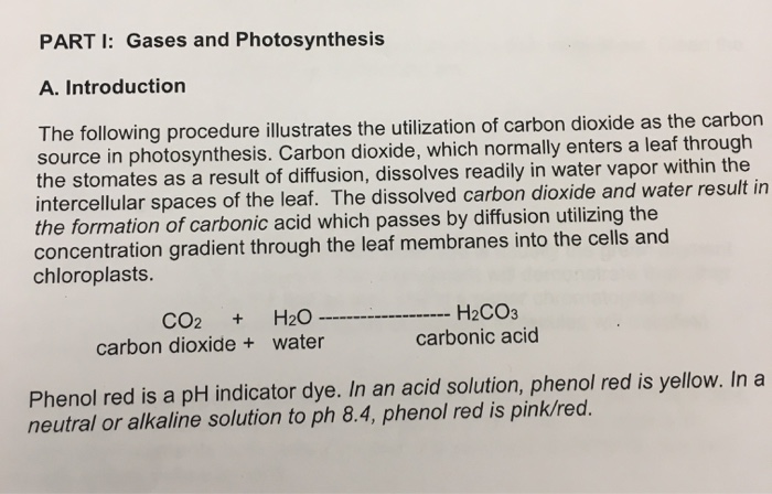 Solved Part I Gases and Photosynthesis 1. Why did the phenol | Chegg.com