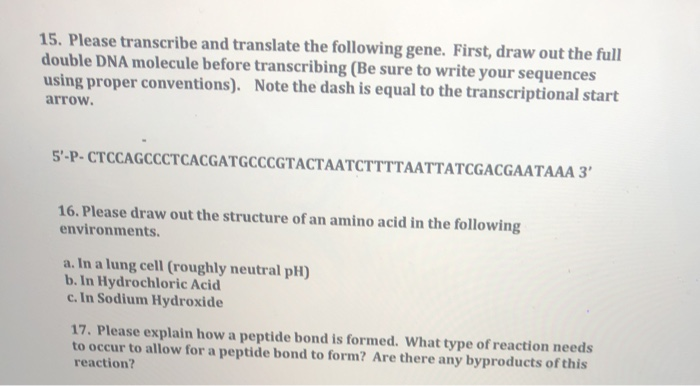 Solved 15. Please transcribe and translate the following | Chegg.com