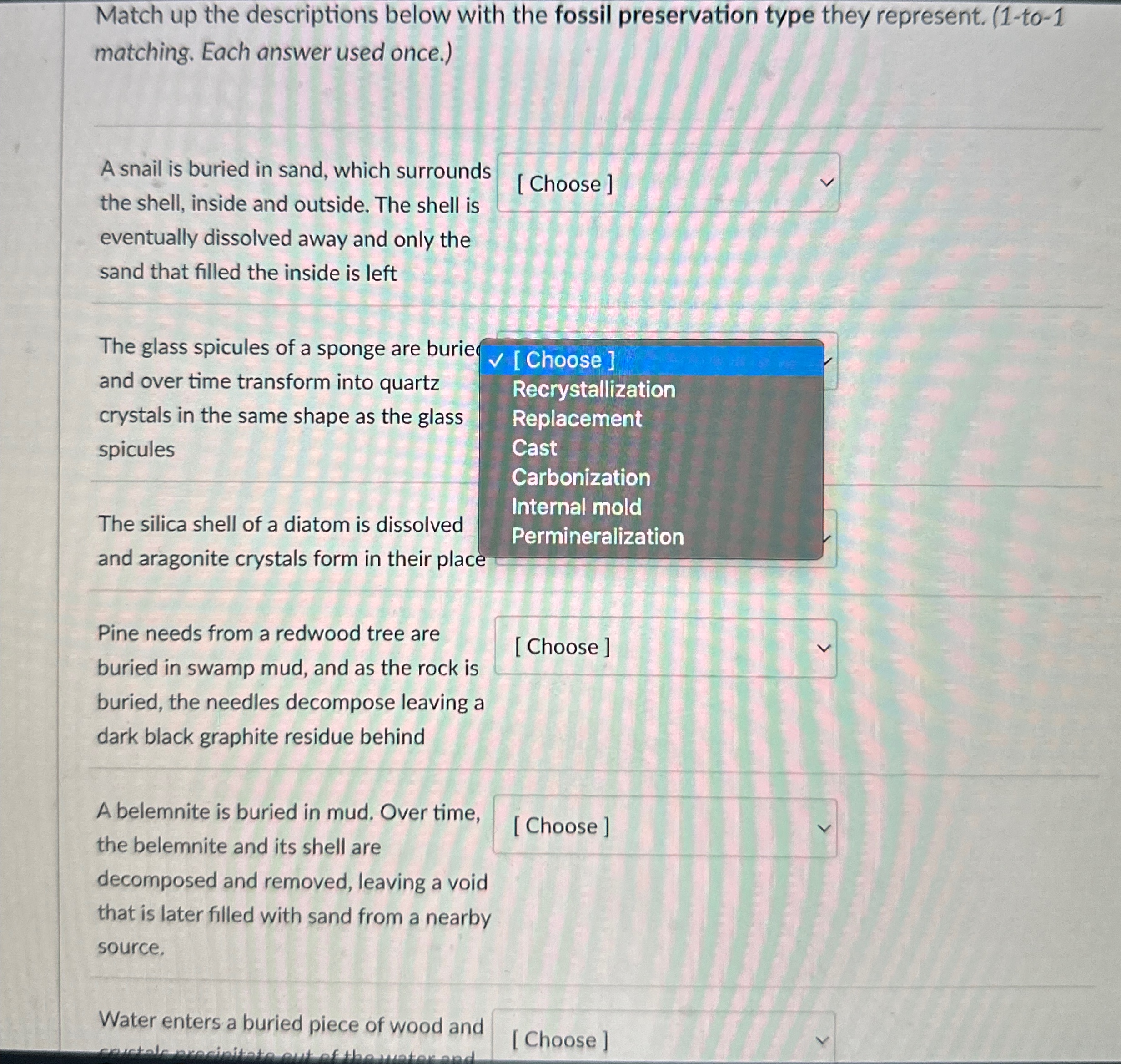 Solved Match up the descriptions below with the fossil | Chegg.com