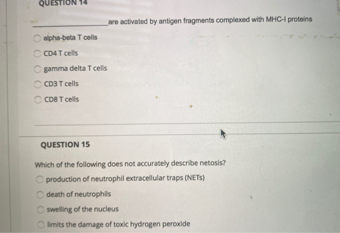 Solved In responding to infection, the immune cells and | Chegg.com