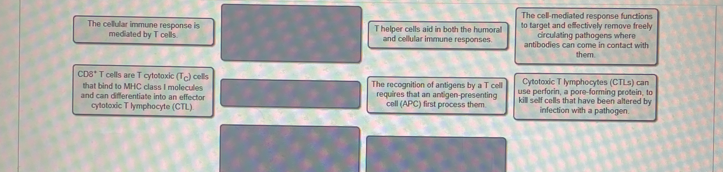 Solved The cellular immune response is mediated by T | Chegg.com