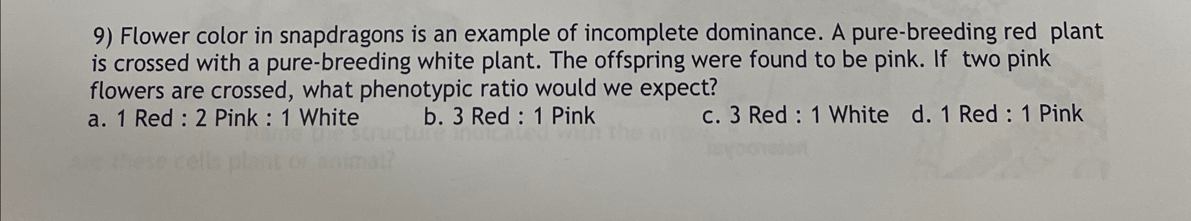 Solved Flower color in snapdragons is an example of | Chegg.com