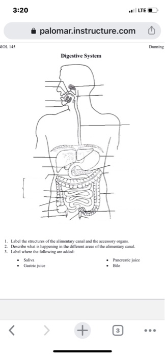 Solved 3:20 ..LEO palomar.instructure.com ☺ BIOL 145 Dunning | Chegg.com