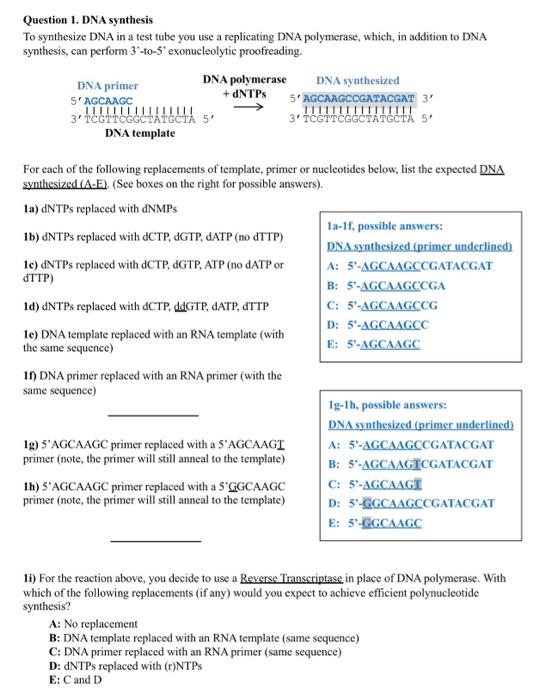 Solved Question 1. DNA synthesis To synthesize DNA in a test | Chegg.com