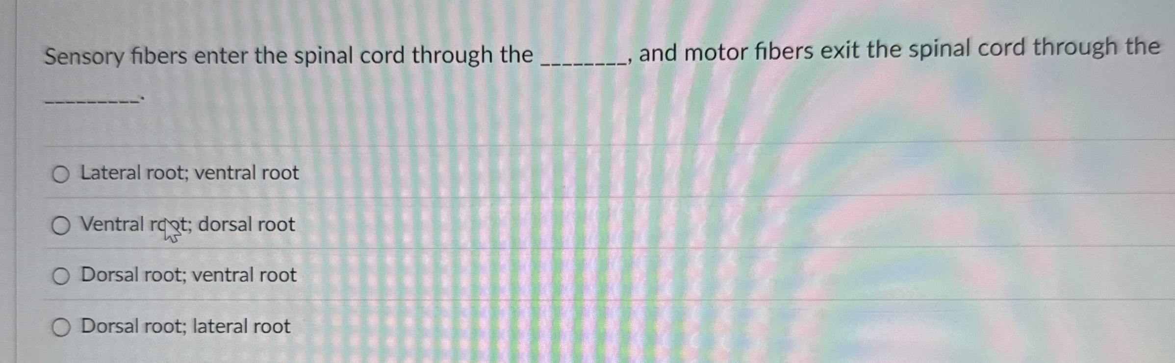 Solved Sensory fibers enter the spinal cord through the | Chegg.com