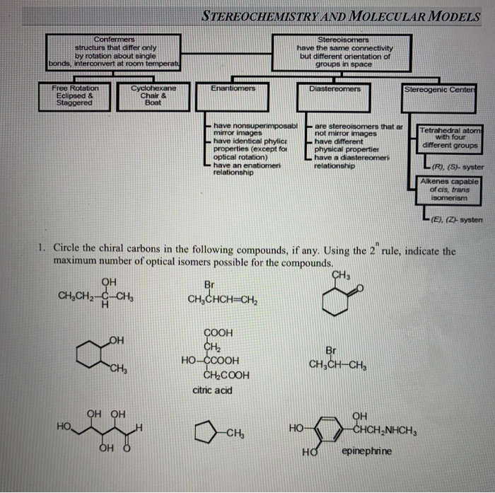 Solved STEREOCHEMISTRY AND MOLECULAR MODELS Confermers | Chegg.com