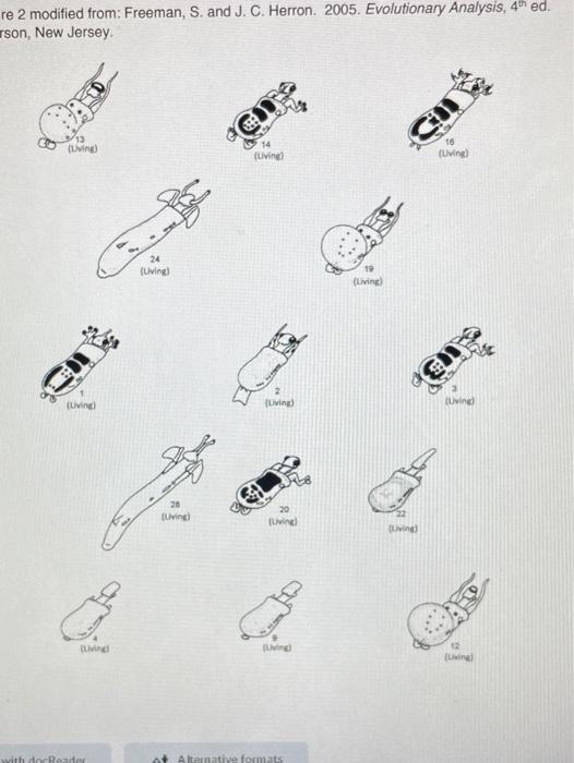 Exercise 4. Fossil Reconstruction of Caminalcules | Chegg.com