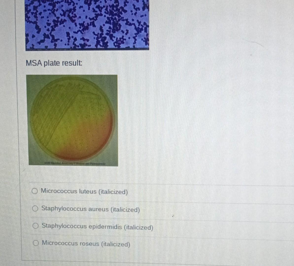 Solved You perform several tests on an unidentified | Chegg.com