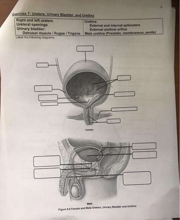Solved please help me fill in the blanks you can print it | Chegg.com