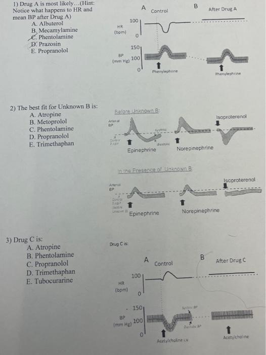 Solved 1) Drug A is most likely.... (Hint: Notice what | Chegg.com