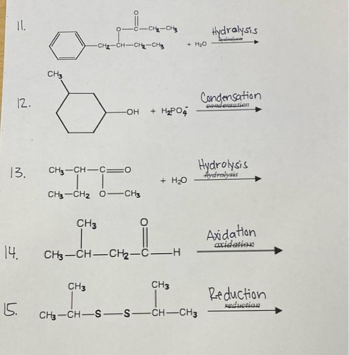 Solved CH3-CH2-N-CH3 сно 7. Condensation OH CHE CH3-CH-C CH3 | Chegg.com