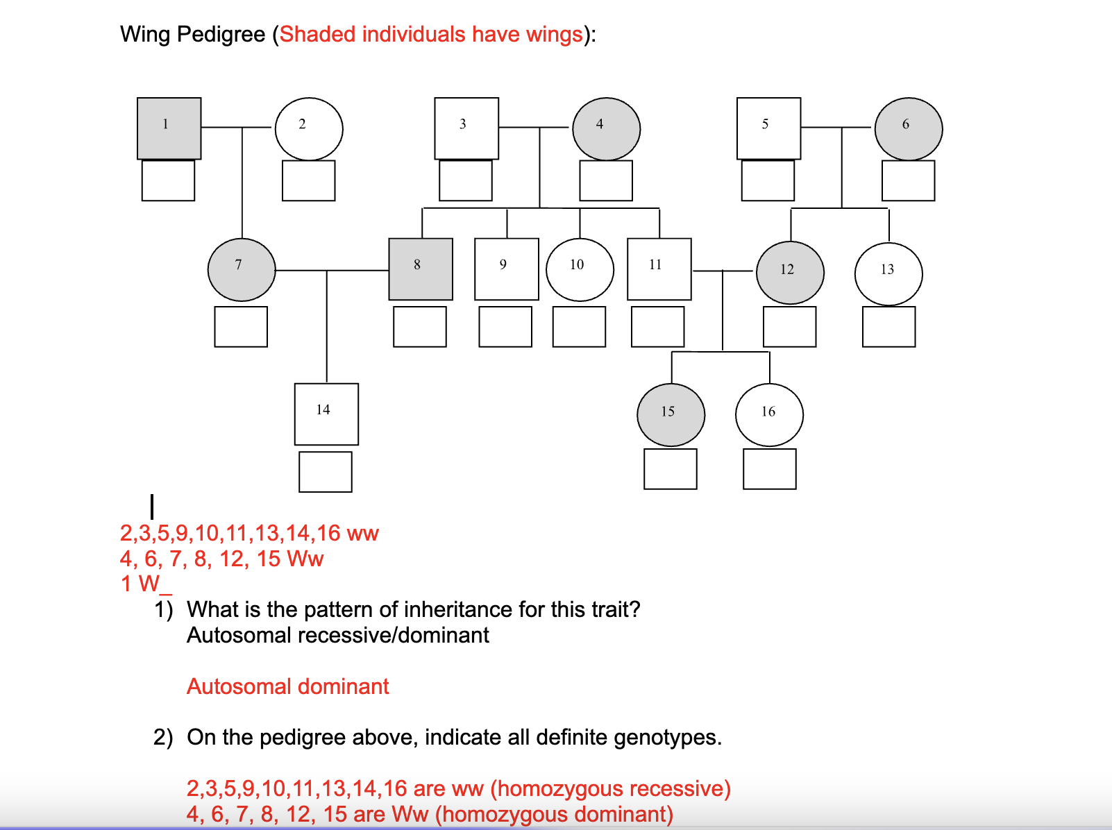 Solved Create a pedigree figure that depicts the mode of | Chegg.com