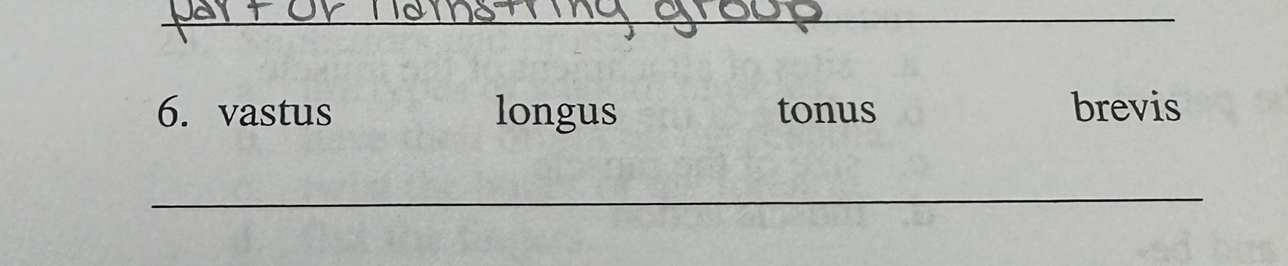 Solved vastuslongustonusbreviswhich of these words is least | Chegg.com