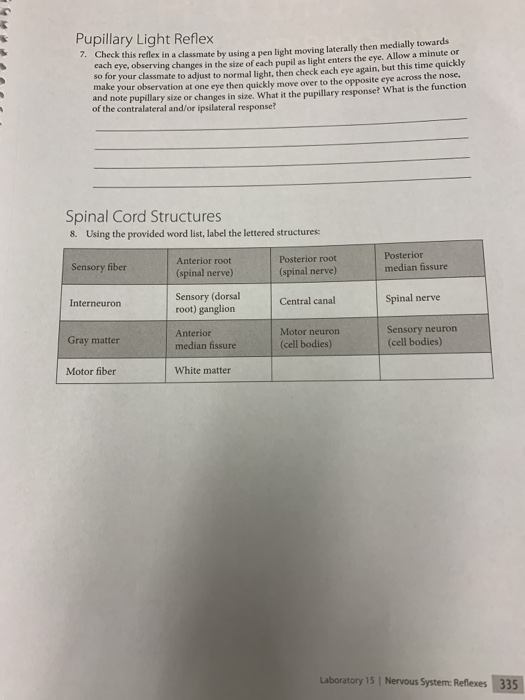 Solved Pupillary Light Reflex 7. Check this reflex in a | Chegg.com
