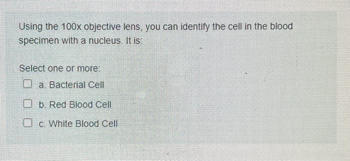 Solved Using the 100x objective lens, you can identify the | Chegg.com