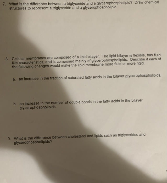 Solved 7 What Is The Difference Between A Triglyceride And Chegg