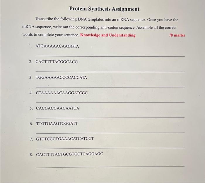 Solved Protein Synthesis Assignment Transcribe the following | Chegg.com