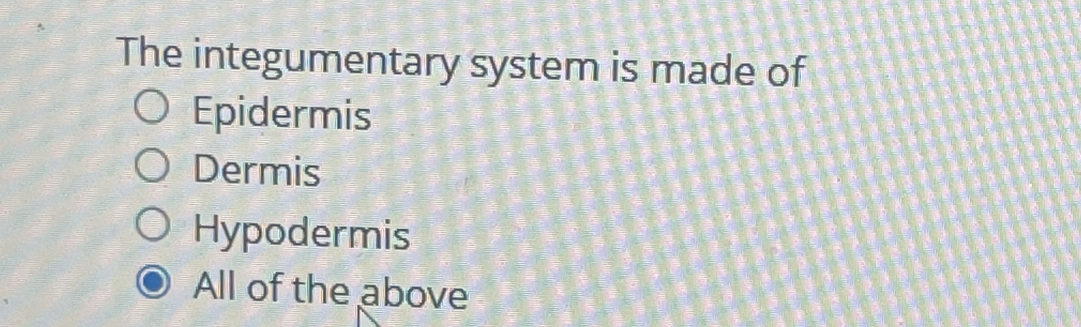 Solved The integumentary system is made | Chegg.com