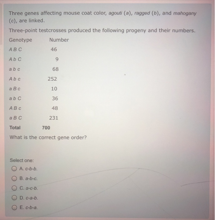 Solved Three genes affecting mouse coat color, agouti (a), | Chegg.com