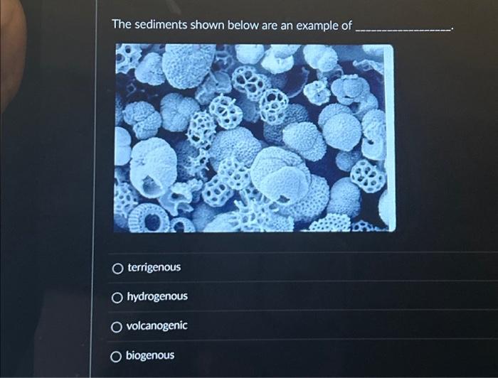 Solved The sediments shown below are an example of | Chegg.com