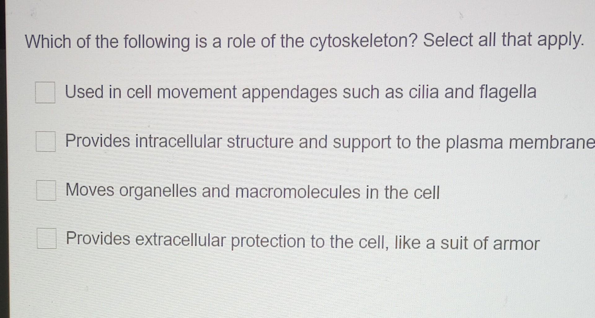 Solved Which of the following is a role of the cytoskeleton? | Chegg.com
