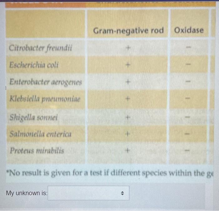 Solved MAC KIA SIM Urease Streak on MAC PR Lactose Triptone | Chegg.com