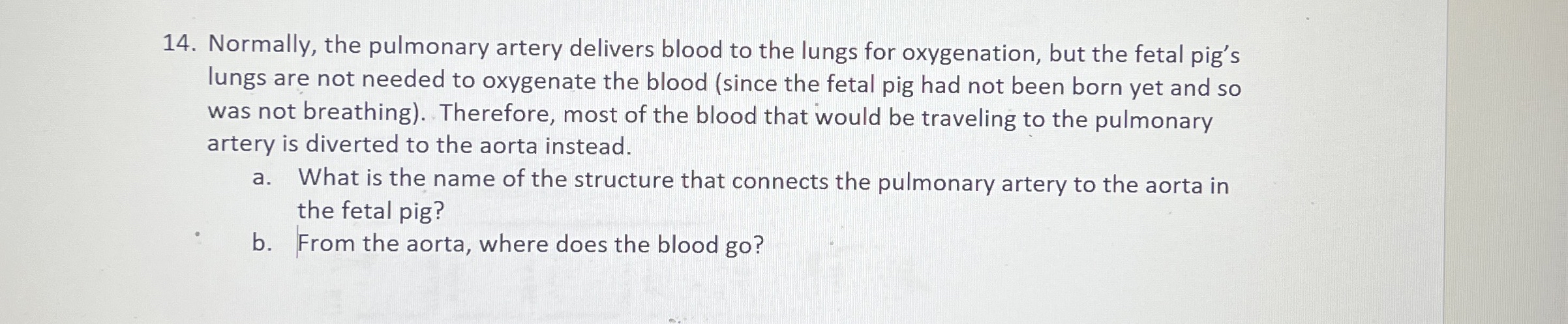 Solved Normally, the pulmonary artery delivers blood to the | Chegg.com