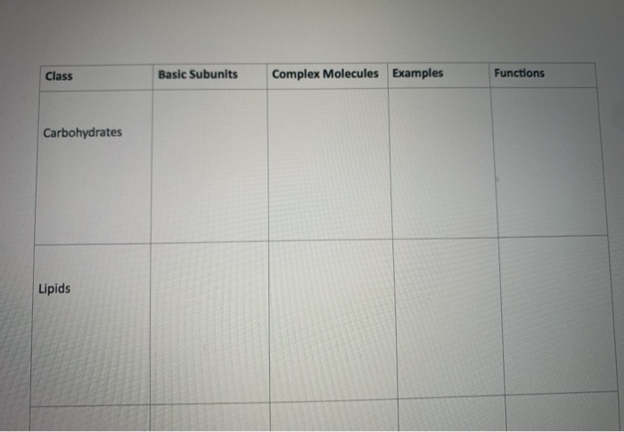 Solved Class Basic Subunits Complex Molecules Examples | Chegg.com